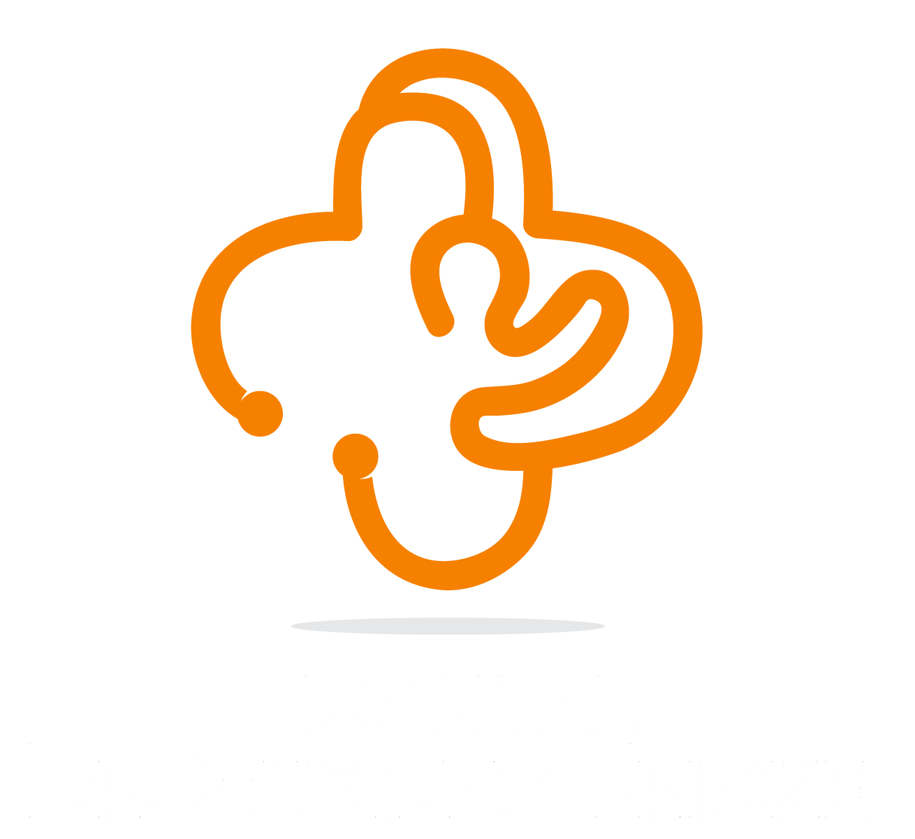 Hospital Dr. Gustavo Fricke